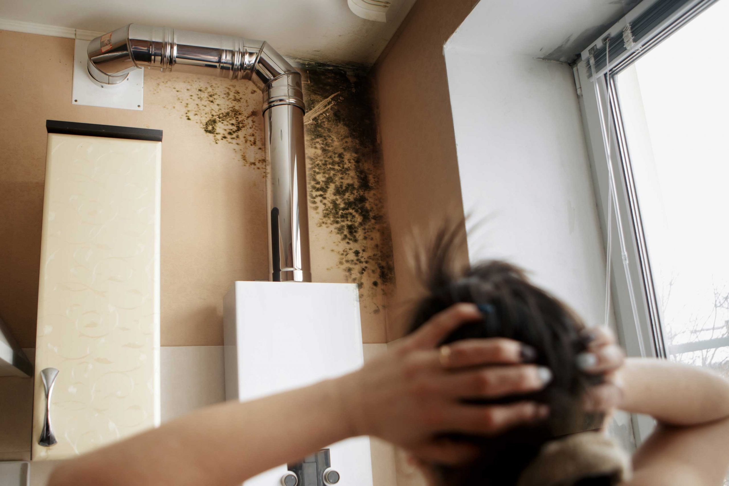 Mold Damage Tips - Americon Restoration