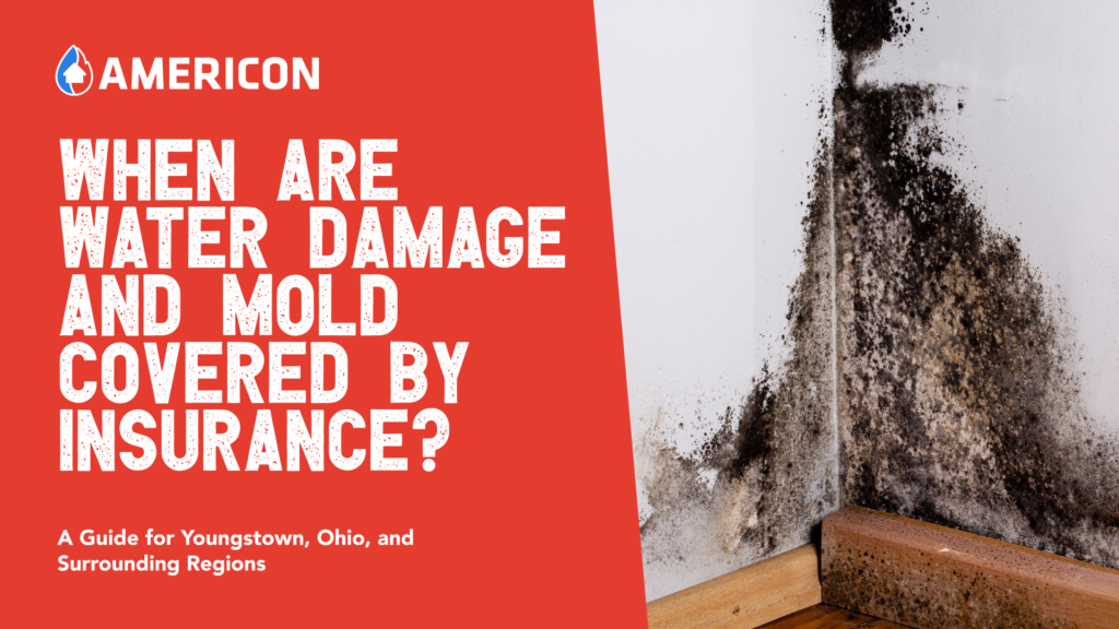 When Are Water Damage and Mold Covered by Insurance - Americon Restoration