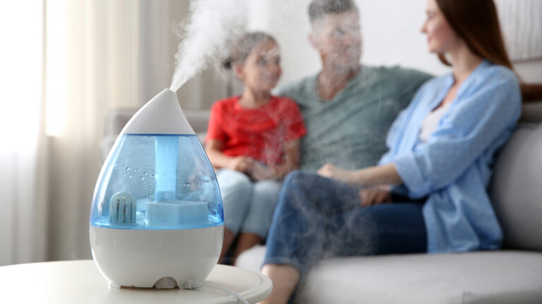 How to naturally clean mold from a humidifier - Americon Restoration