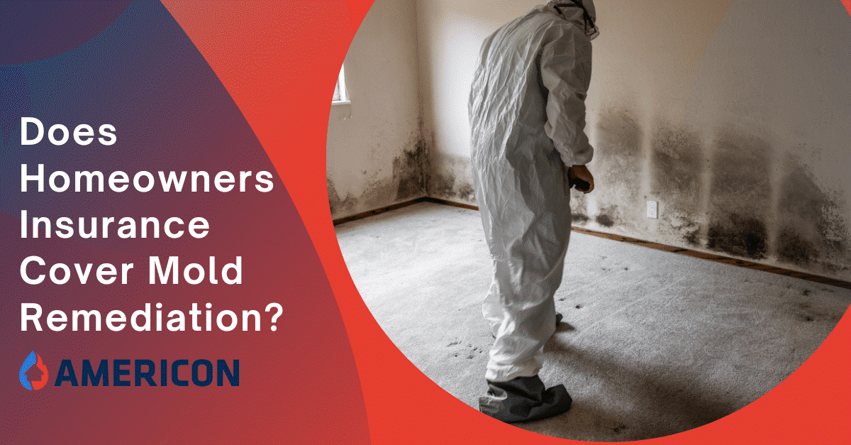 Does Homeowners Insurance Cover Mold Remediation? - Americon Restoration