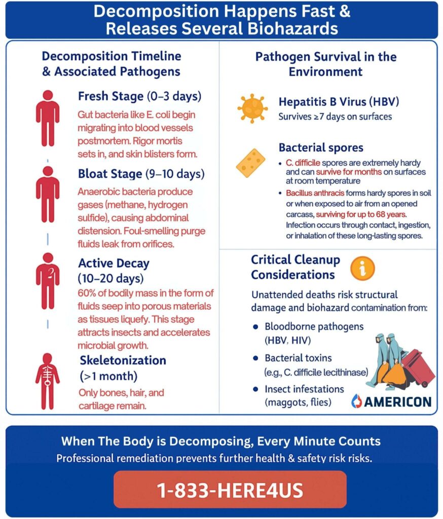 Professional Unattended Death Cleanup | Biohazard Experts